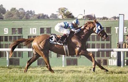 Leading Washington-bred Earners of All Time - Washington Thoroughbred ...