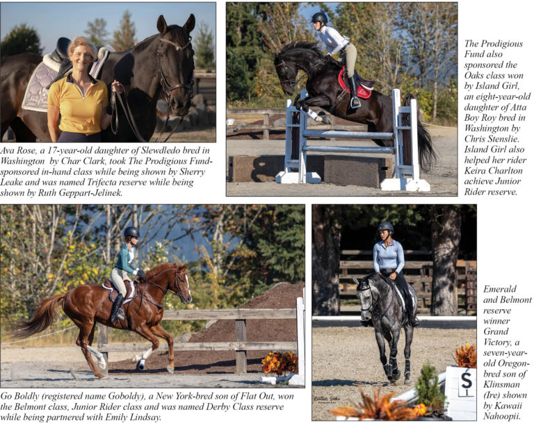 Ride for the Roses 2022 - Washington Thoroughbred Breeders & Owners ...