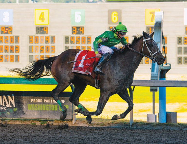 Washington Champions of 2022 - Washington Thoroughbred Breeders ...